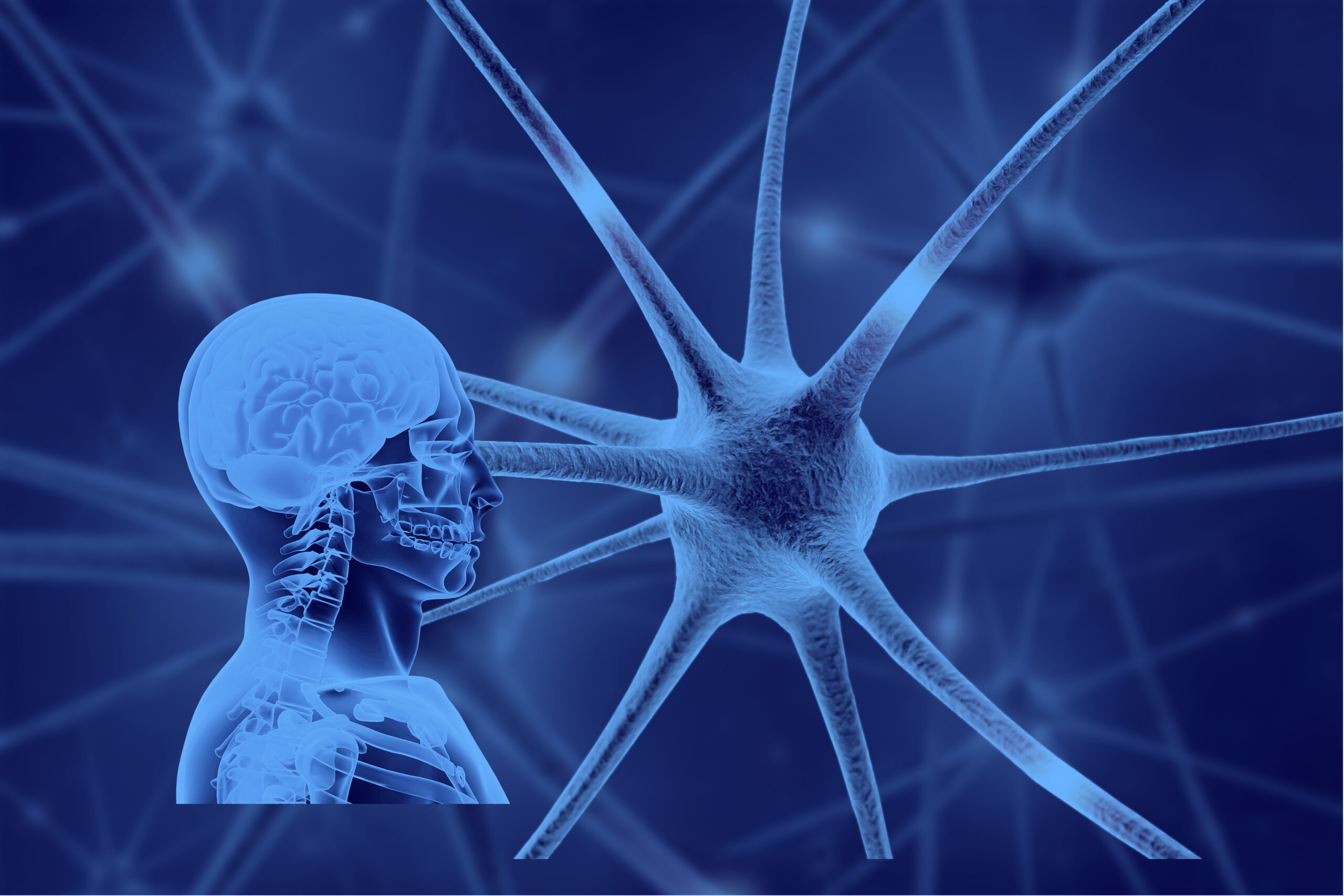 Forensics - Boston Neuropsychological Services